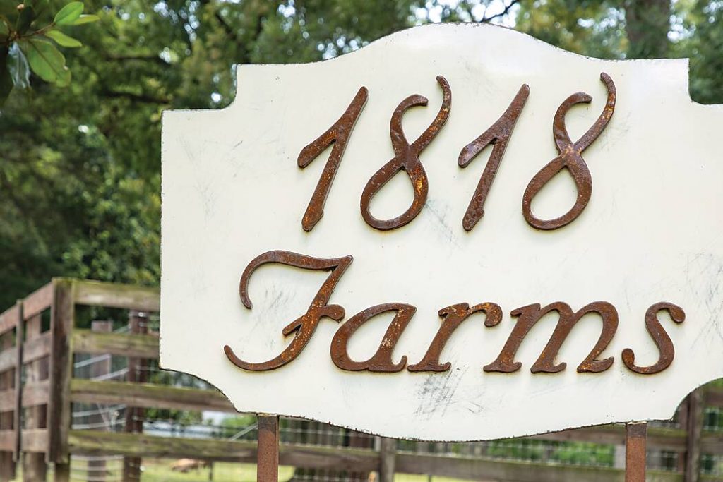 Acres of Love at Alabama’s 1818 Farms - Southern Lady Magazine